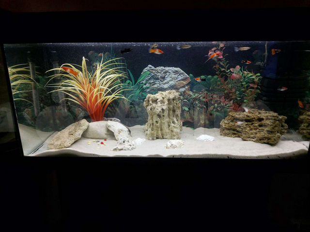 Аквариум на 200л Juwel. с тумбой полный комплект