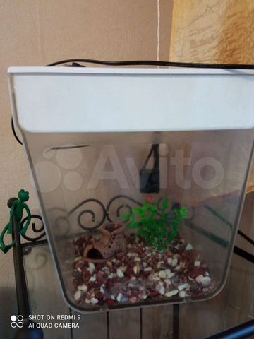 Аквариум